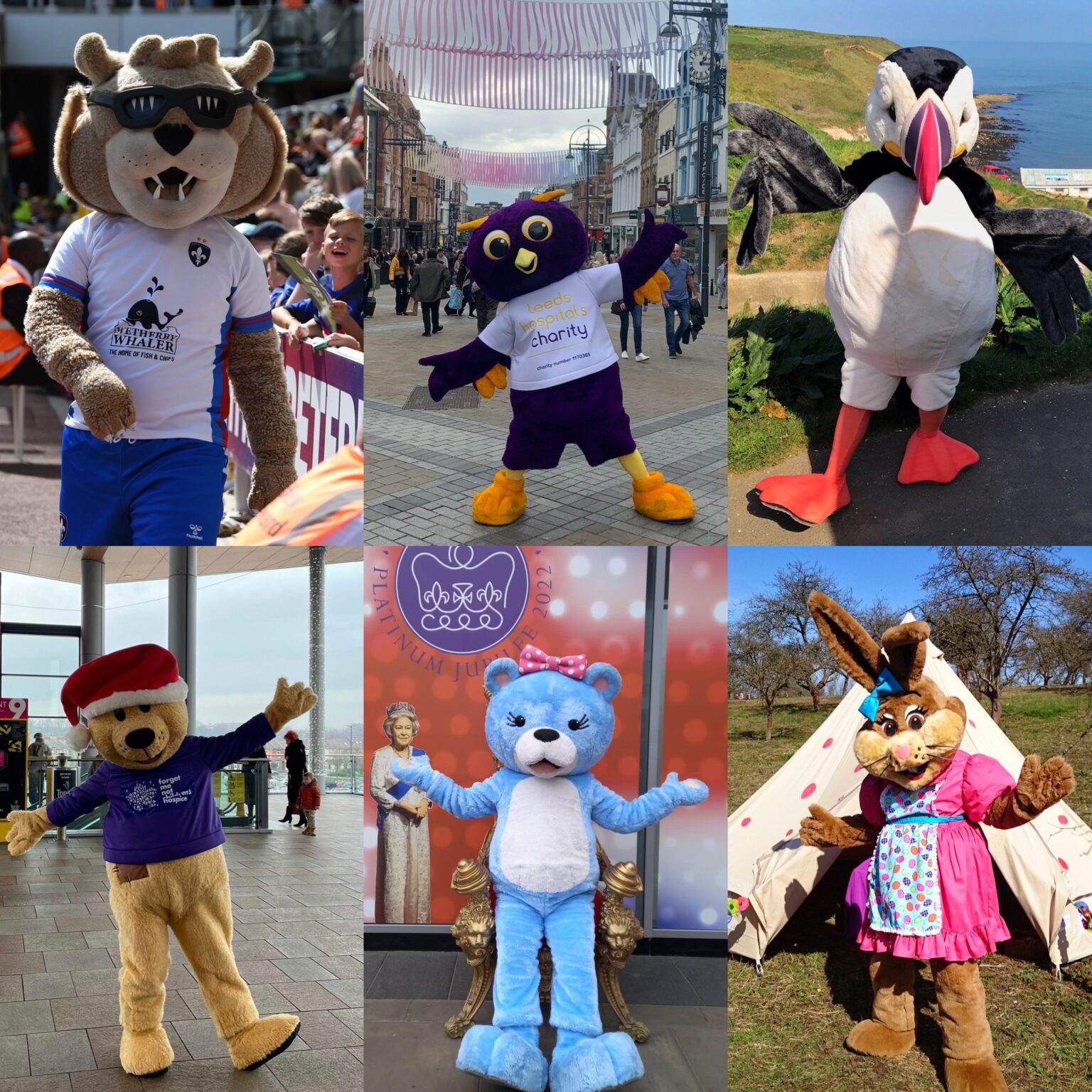 Your Mascot - Mascot Adventures